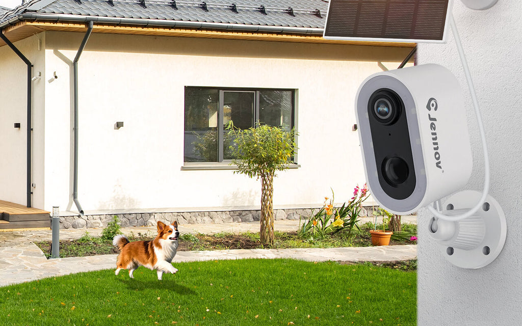 Top 10 Wireless Security Cameras for Pets: Keep an Eye on Your Furry F ...